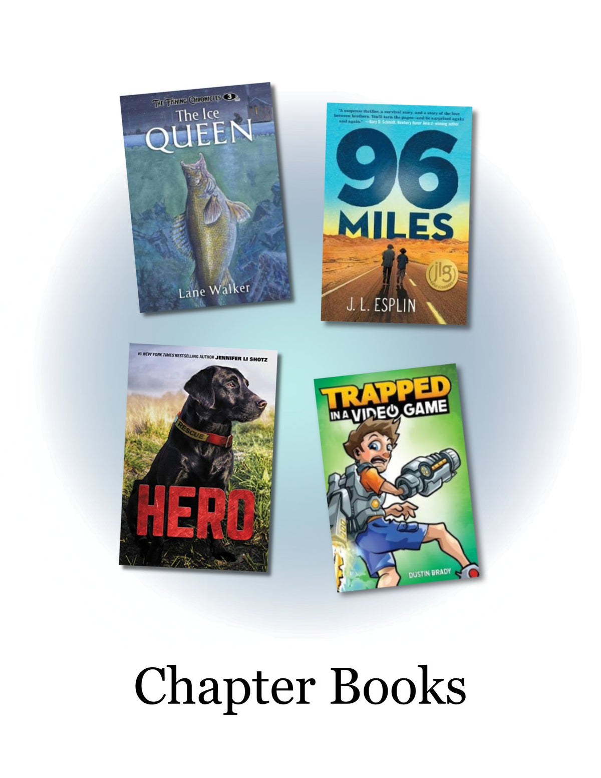 CHAPTER BOOKS